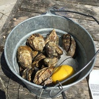 Taylor Shellfish Farms - 14 tips from 496 visitors