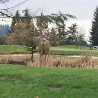 Swan-e-Set Bay Resort & Country Club - Golf Course in Pitt Meadows