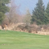 Swan-e-Set Bay Resort & Country Club - Golf Course in Pitt Meadows
