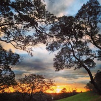 One Tree Hill Domain - Park in One Tree Hill