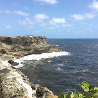 Animal Flower Cave - Cave