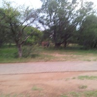 Dikhololo Game Reserve - 2 tips