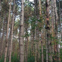 Provin Trails Park - 5 tips from 234 visitors