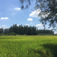 ศาลายา (Salaya) - Town