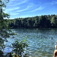 Krumme Lanke - Lake in Zehlendorf