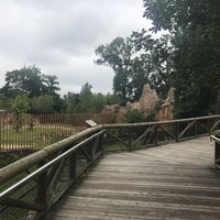 Memphis Zoo Teton Trek - Evergreen Historic District - 11 tips