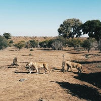 Kruger National Park - Phabeni Gate - 3 tips from 499 visitors