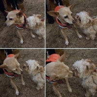 Valhalla (Rice University) - Bar in University Place