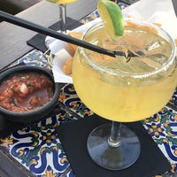 Fresh Agave - 34 tips