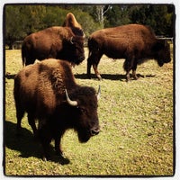 Taronga Western Plains Zoo - 18 tips