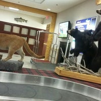 Pellston Regional Airport (PLN) - 5 tips from 866 visitors