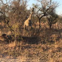 Kruger National Park - Phabeni Gate - 3 tips from 499 visitors