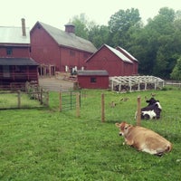 Muscoot Farm - 19 tips from 816 visitors