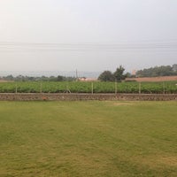 York Winery Pvt. Ltd. - Vineyard in Nashik