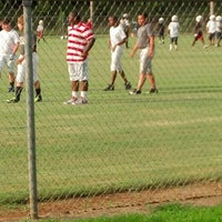 Shaver Complex - 4 tips