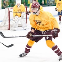 Louis Astorino Ice Arena - Skating Rink in Hamden