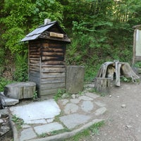 Lesní bar - Trail