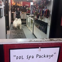 Downtown Dog Lounge - Interbay - 5 tips from 225 visitors