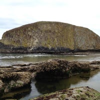 Seal Rock State Park - State / Provincial Park