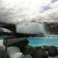 Lago Martiánez - Lake