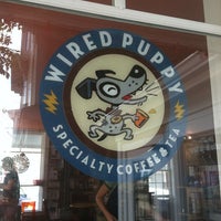 Wired Puppy - 379 Commercial St
