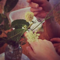 Springfield Botanical Center - Springfield, MO