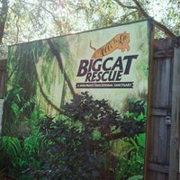 Big Cat Rescue - Citrus Park Community - 25 tips