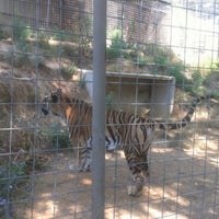 National Tiger Sanctuary - Zoo