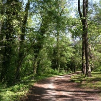 Pennypacker Park - Park in Haddonfield