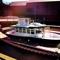 Baywatch Dolphin Tours - Galveston Harbor - 9 tips from 314 visitors