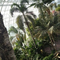 Crystal Bridge Tropical Conservatory - Downtown Oklahoma City - 7 tips ...