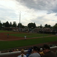 Melaleuca Field - 8 tips