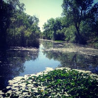 Shadow Cliffs Regional Recreation Area - Pleasanton, CA