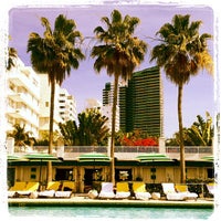 The Social Club - Bar in City Center