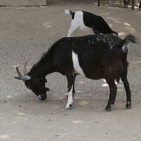 Red River Zoo - 12 tips