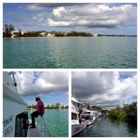 Stuart's Cove Dive Bahamas - 5 tips