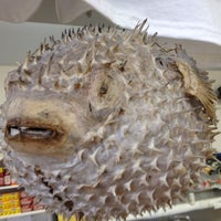 Mutual Fish - Fish Market in North Beacon Hill