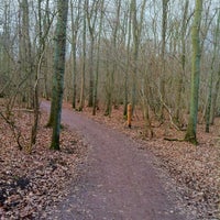 Fineshade Woods - 5 tips from 80 visitors