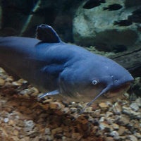 Cabela's - 17 tips from 2845 visitors