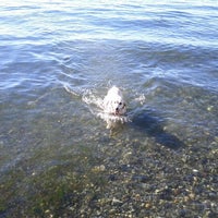 Howarth Park - Beach