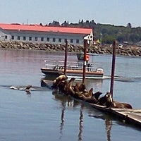 Port of Astoria - 10 Pier 2 #103