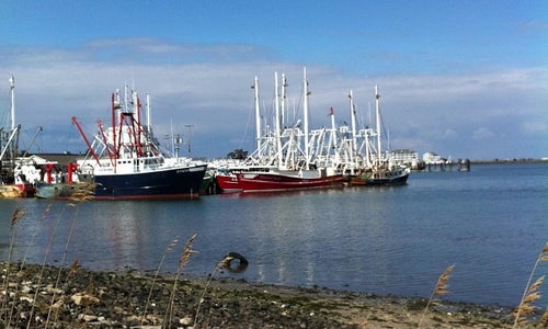 Cape May Harbor in Cape May, NJ, United States - harbor Reviews - Phone ...