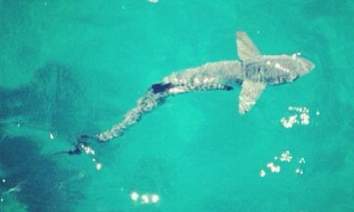 Lobos Key Harbor in Spanish Virgin Islands, Puerto Rico - harbor ...