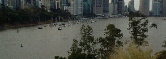 Kangaroo Point Park - Kangaroo Point, QLD