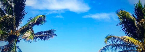 Blue Kay Mahahual - Hostel