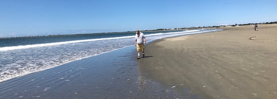 Damon Point State Park - Beach in Ocean Shores