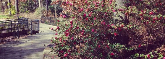 Mercer Arboretum & Botanic Gardens - Garden in Humble