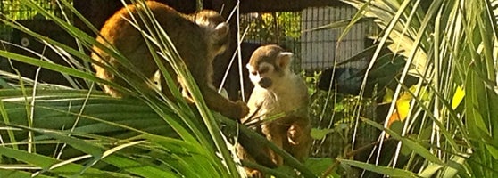 Phoenix Zoo - Camelback East - 205 tips from 12620 visitors
