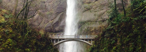 Multnomah Falls - 169 tips from 18144 visitors