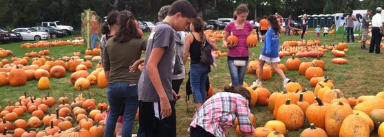 Harvest Moon Farm and Orchard - North Salem, NY